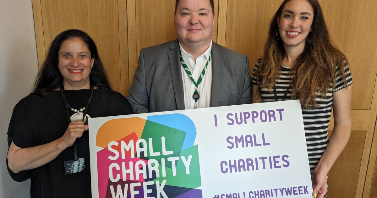 Small Charity Week – recognising the work of smaller charities - Andrew ...